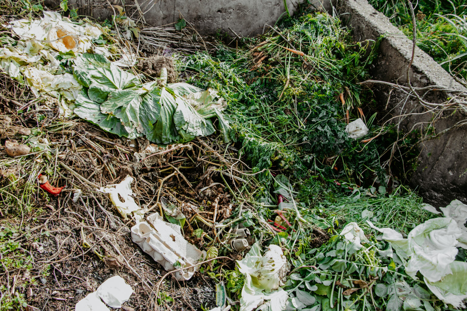 Green Waste Composting and the Future of Waste Management - Cleanway ...